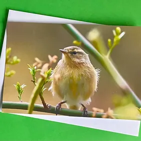 jog it on | Online Marketplace | Buy & Sell Online