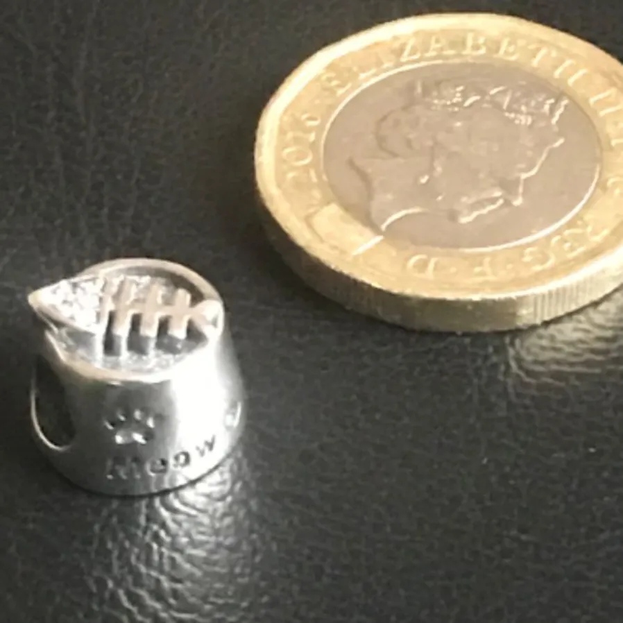 Genuine 925 Silver Cat pet Charm comes in a cute velvet pouch For ...