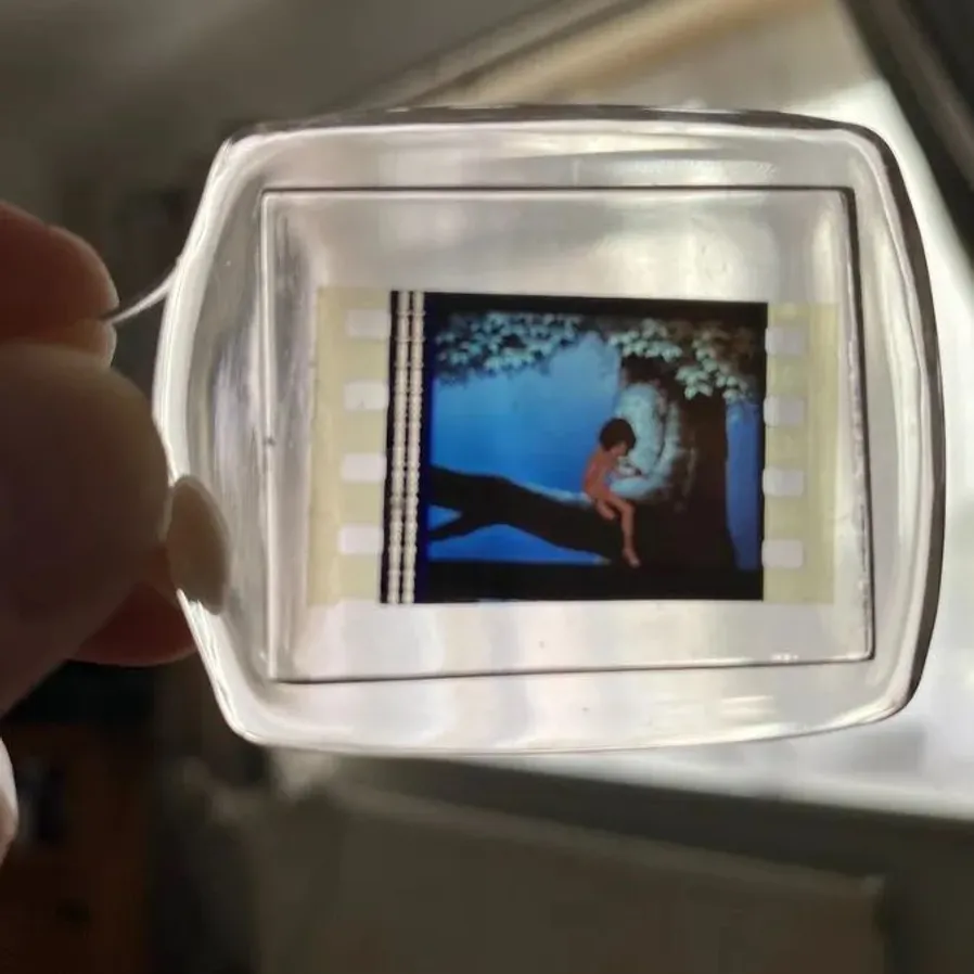 Disneys cartoon classic Jungle Book movie key ring film cell 35mm ...